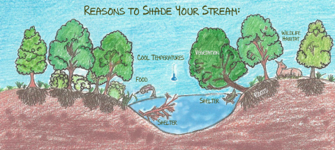 Why is shading important?