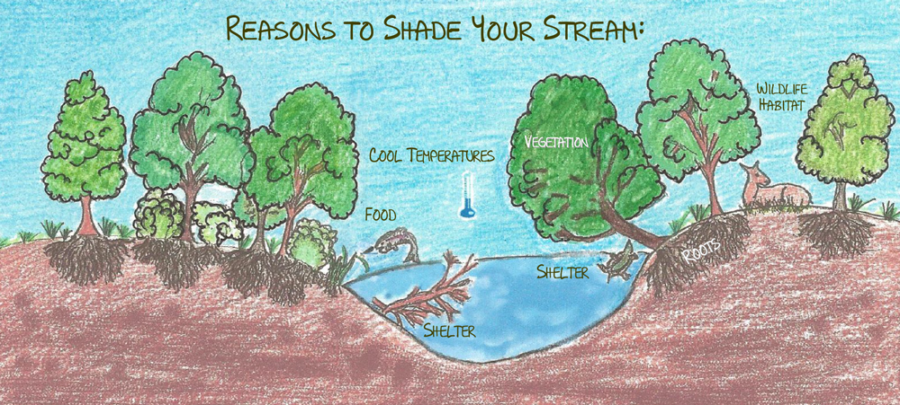 Why is shading important?